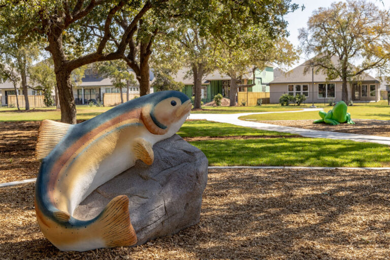 Reunion Ranch | Parmer Ranch | Georgetown Texas